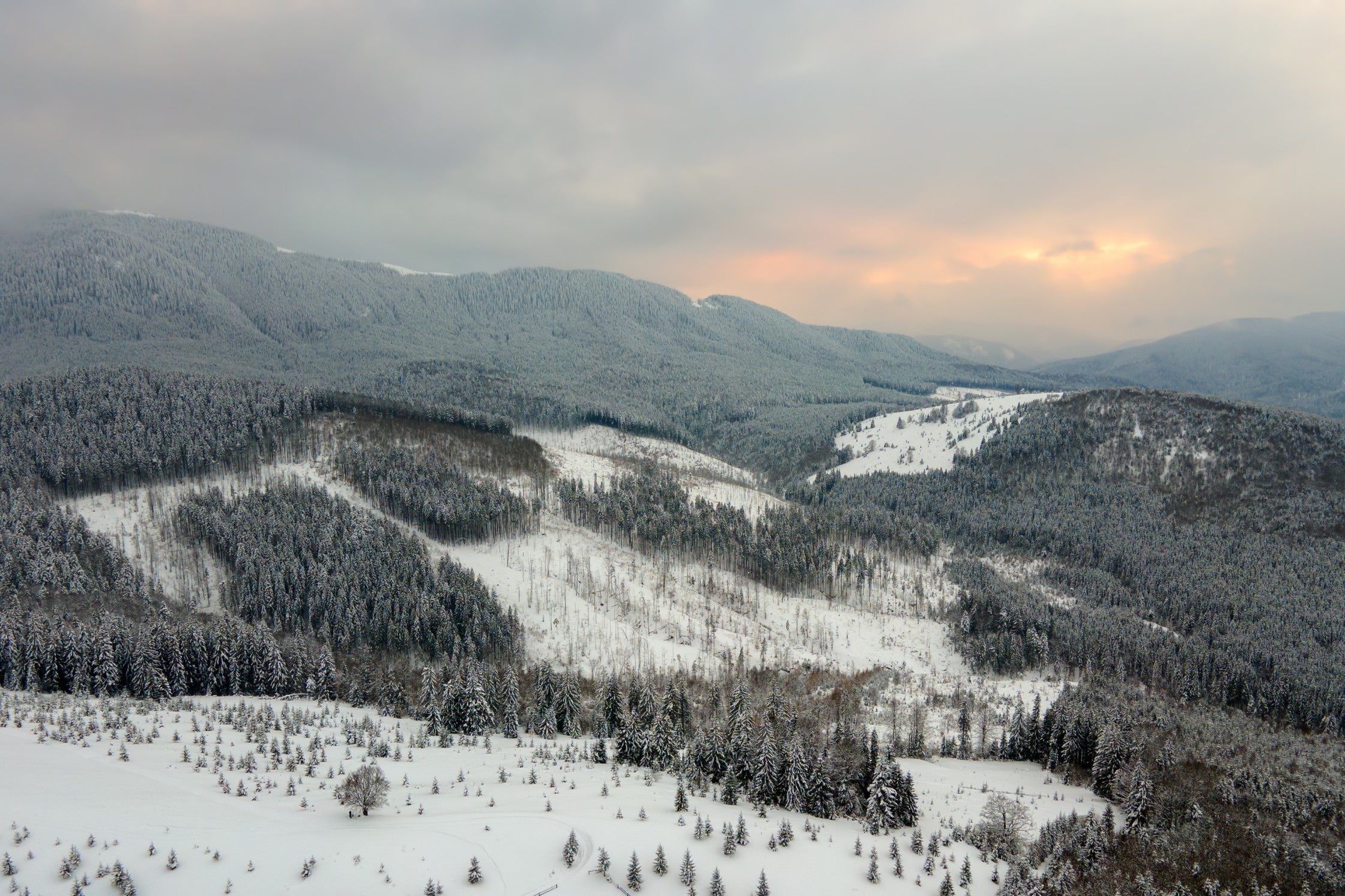 Ice Baths in Winter: Boosting Immunity and Resilience – The Cold Pod